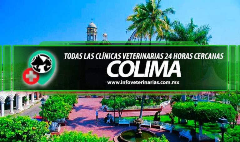 Mejores Veterinarias en Colima【Abiertas 24 horas】